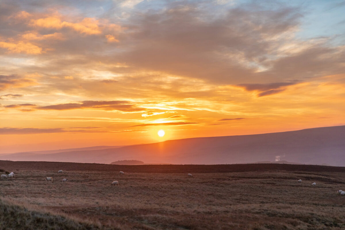 About - Kirkstyle Inn & Sportman's Rest